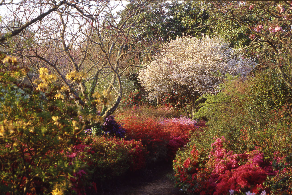 Parc de Boutiguéry - 29950 - Gouesnac'h - jardin