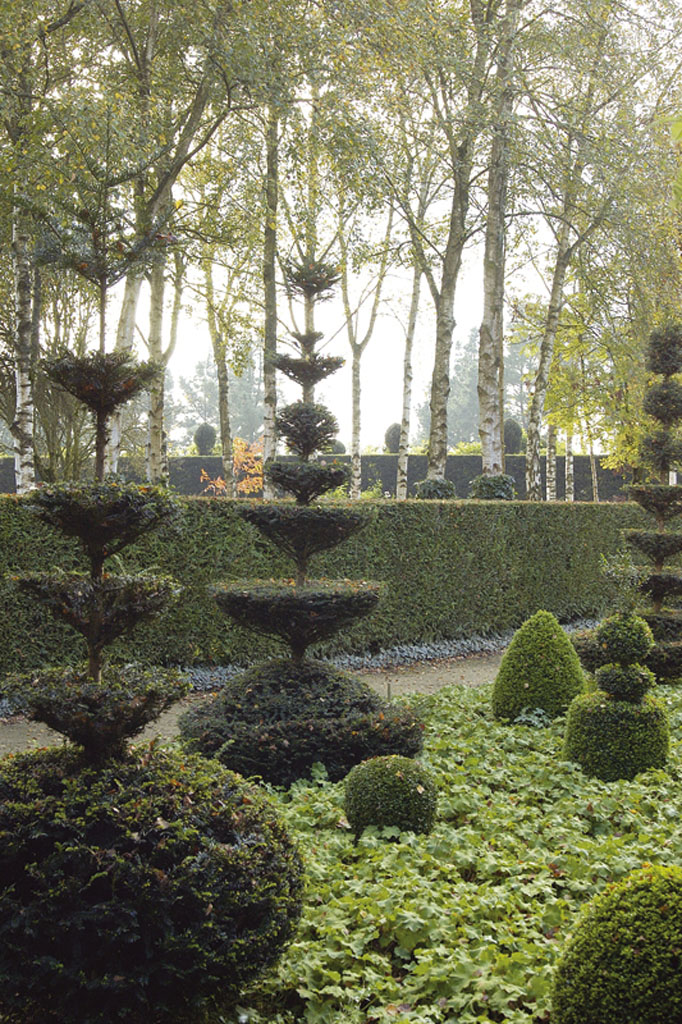 Jardins du Château de la Ballue - 35560 - Bazouges la Pérouse - jardin